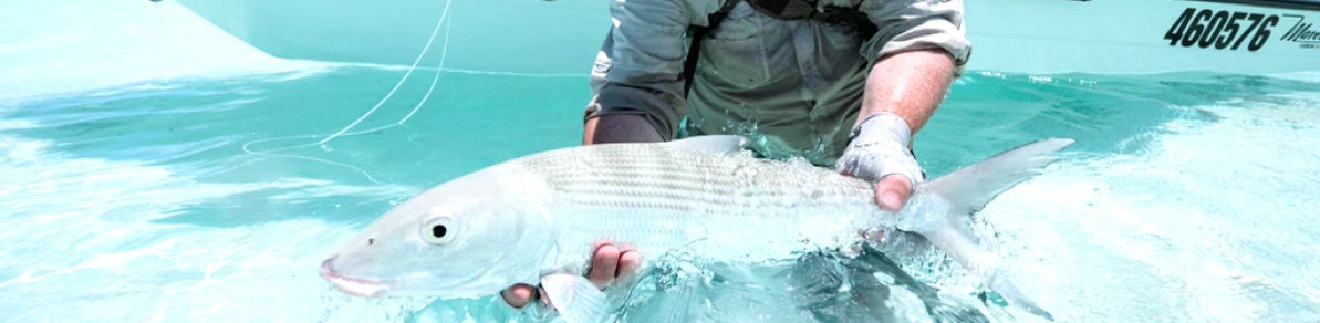 Christopher Bassano Guide Series — Aussie Angler