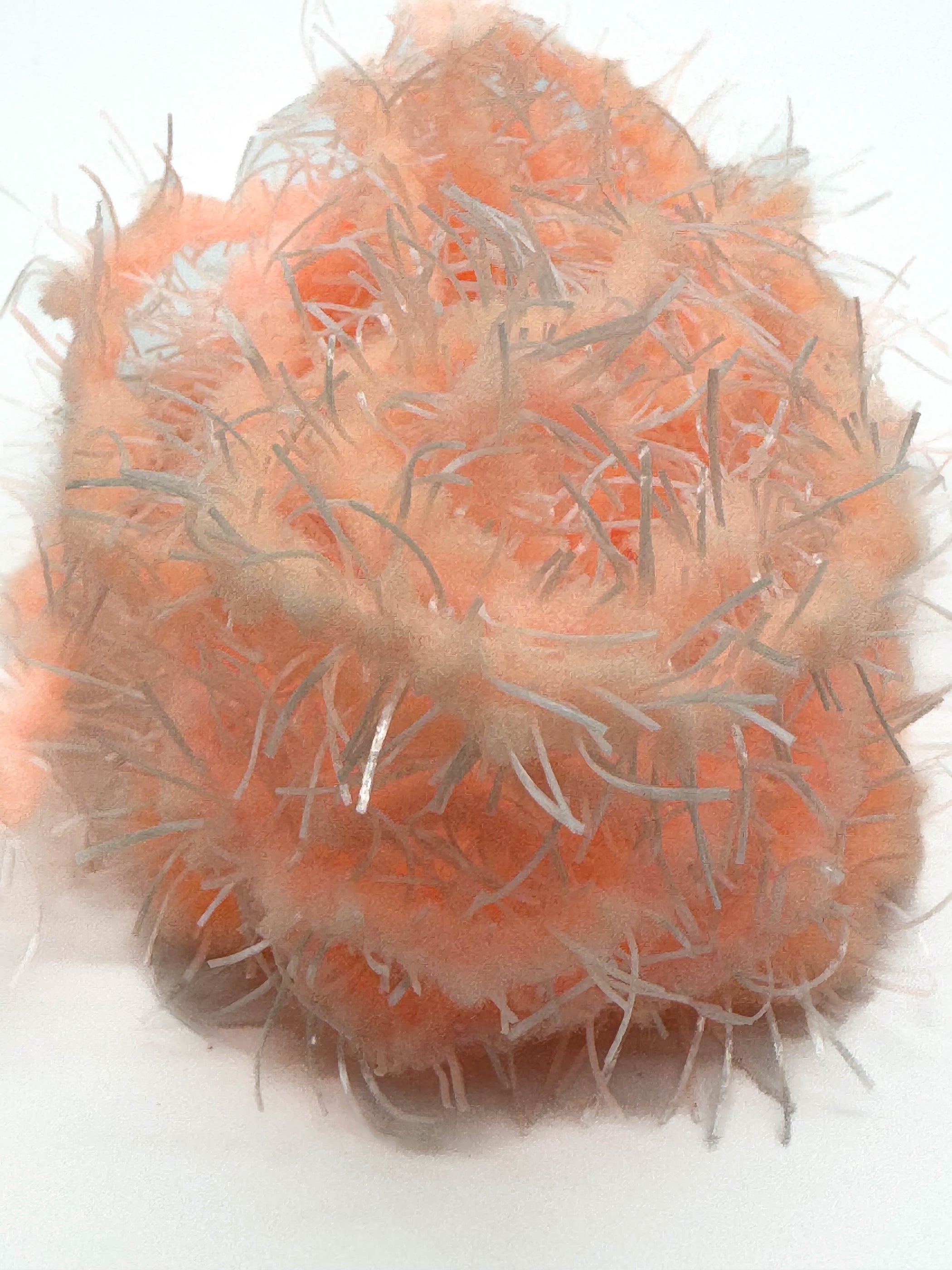 FNF UV Creeper — Aussie Angler