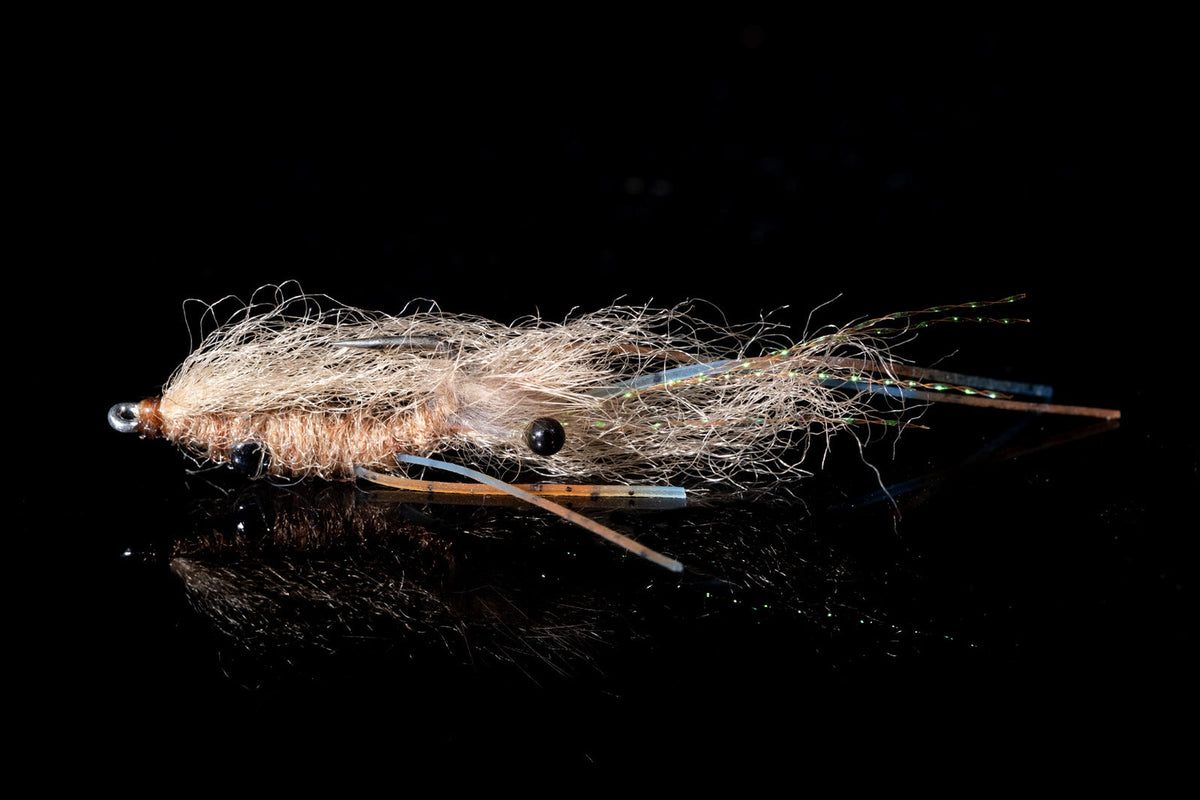 Manic Mighty Mantis #4 — Aussie Angler