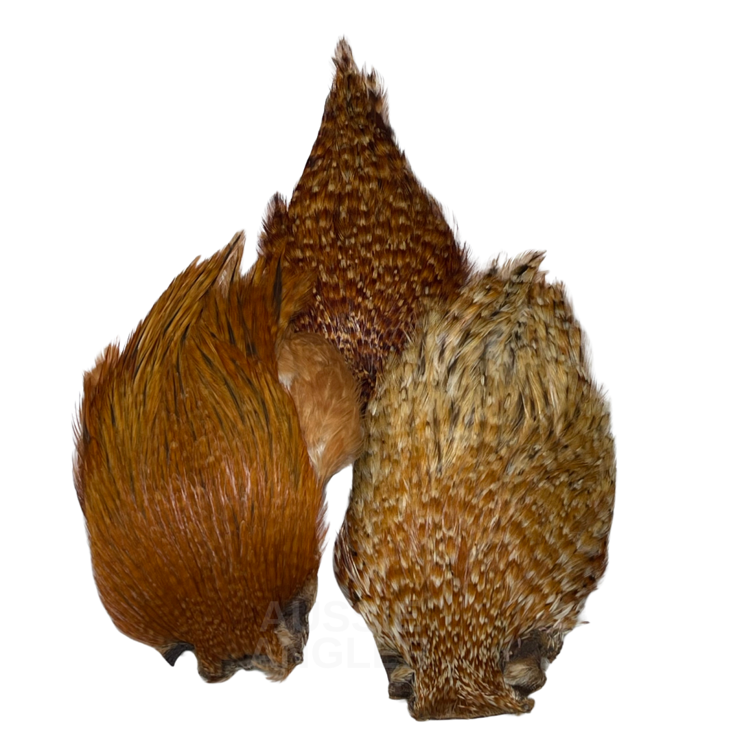 Wapsi Dry Fly Rooster Necks — Aussie Angler