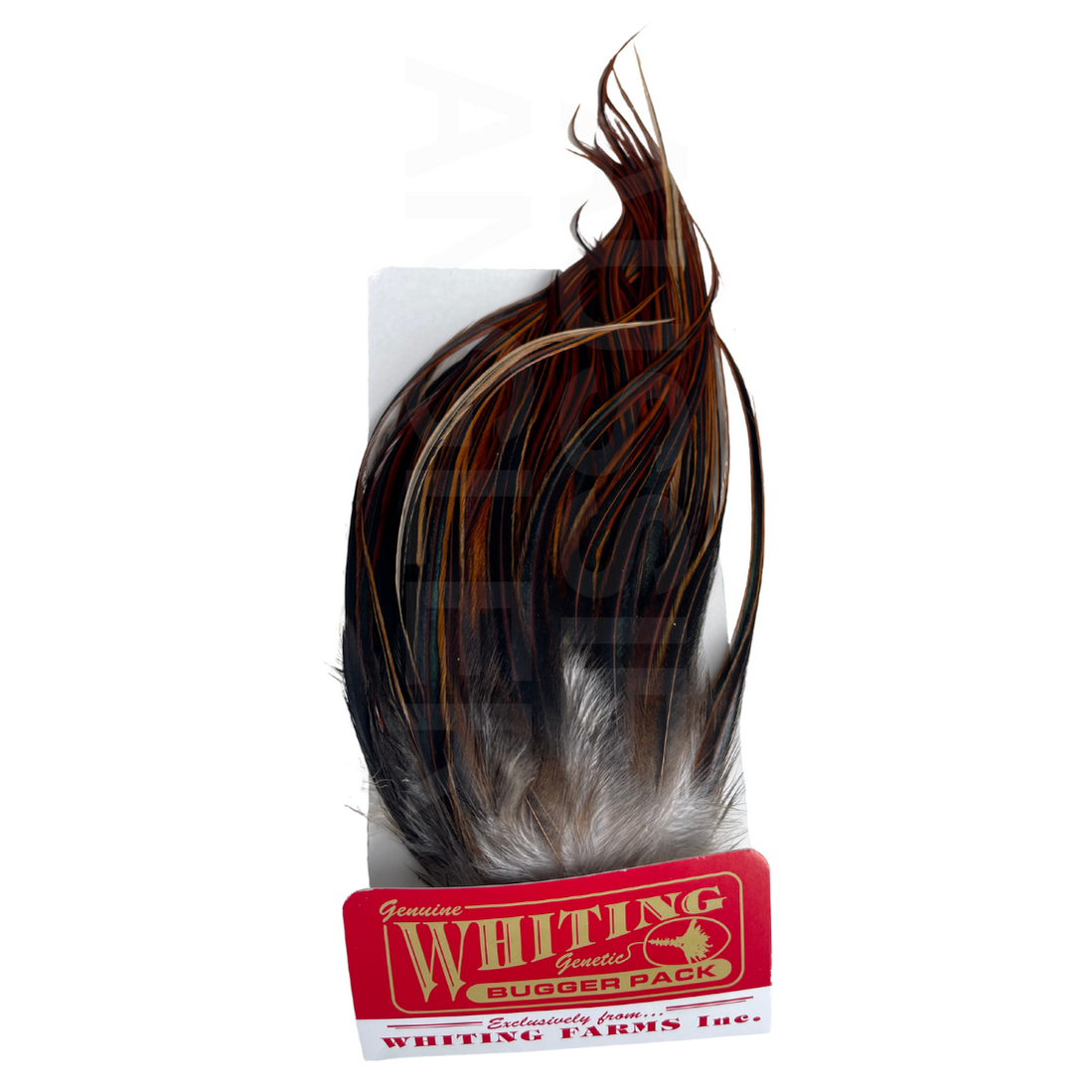 Whiting Farms Bugger Pack — Aussie Angler