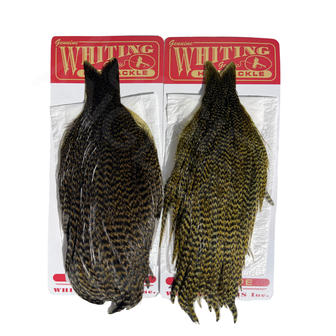 Whiting Farms Hen Cape — Aussie Angler