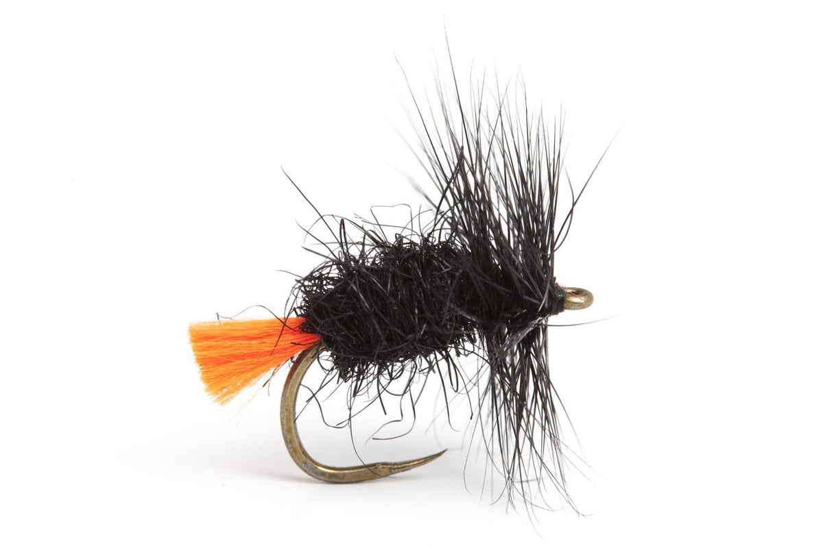 Christopher Bassano Zulu Tag #14-18 — Aussie Angler