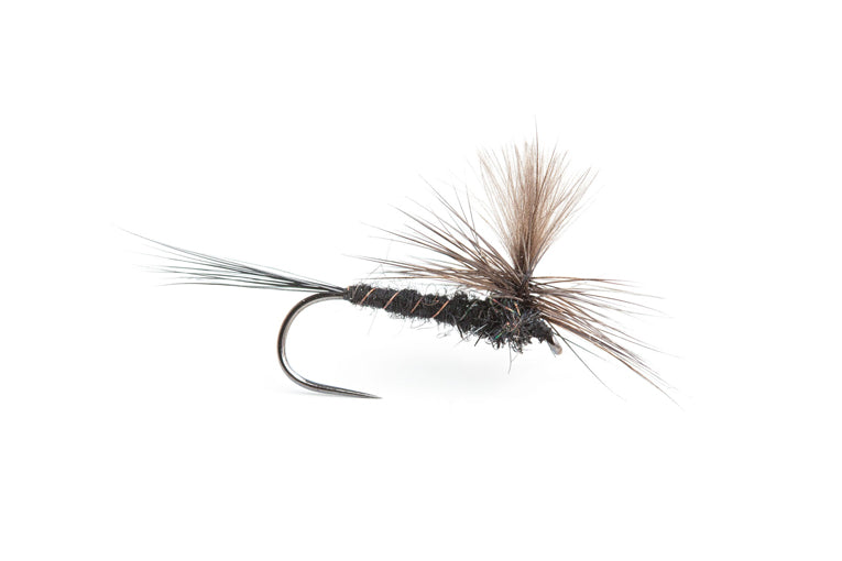 Christopher Bassano Parachute Black Spinner Fly #12 — Aussie Angler